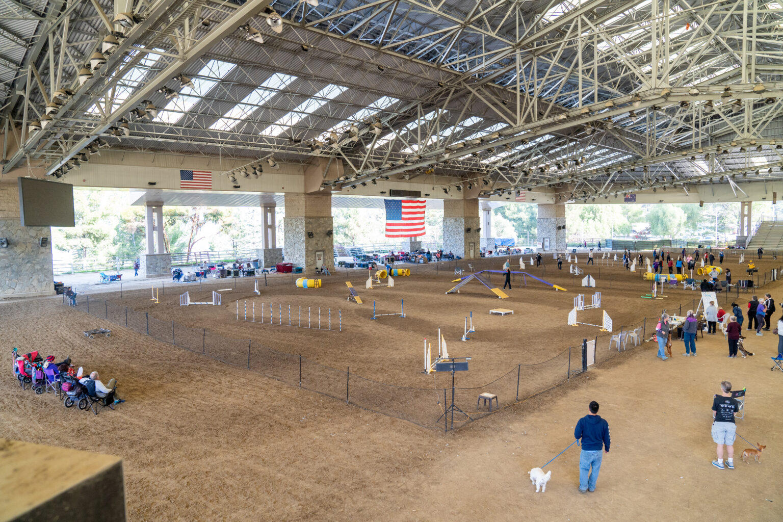 THE GRAND ARENA – My WordPress Site